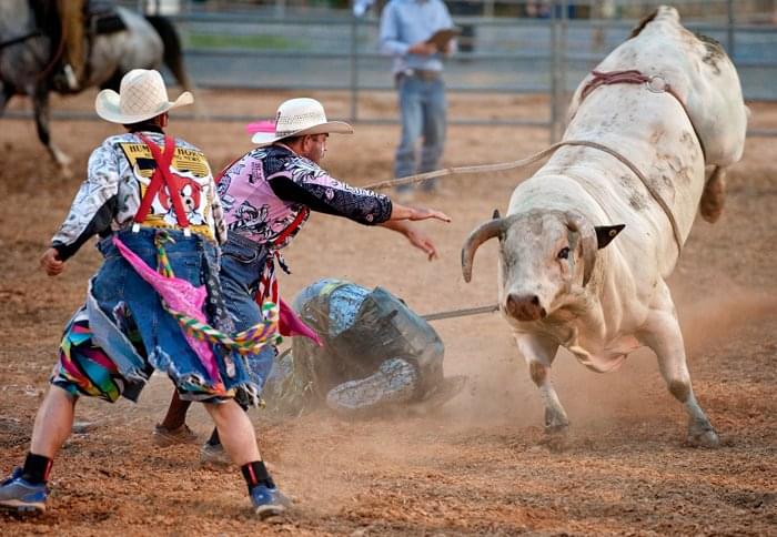 Rodeo Clowns Shakes The Clown